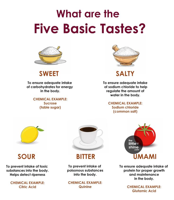 Flavor Foundations: Unlocking the Secrets of Taste